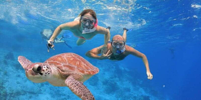 All Include Snorkeling at Menjangan Island - The Sum Up: Is This Tour Worth It?