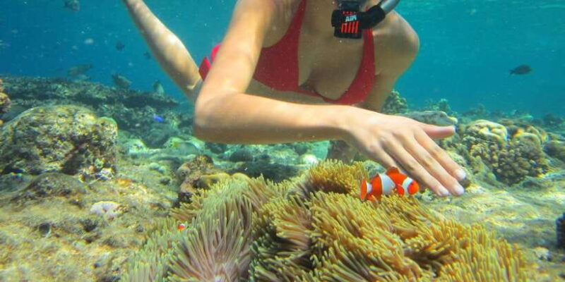 All Include Snorkeling at Menjangan Island - FAQ: Practical Questions About the Snorkeling Tour