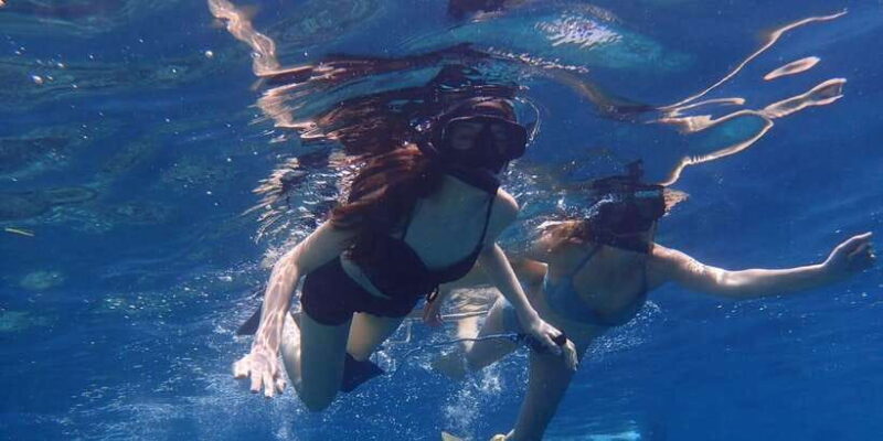 All Include Snorkeling Menjangan Island - Practical Tips for Enjoying Your Day