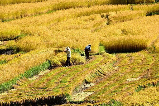 All Inclusive 5 Nights Bhutan Tour Package - Analyzing the Value: Is This Tour Worth It?