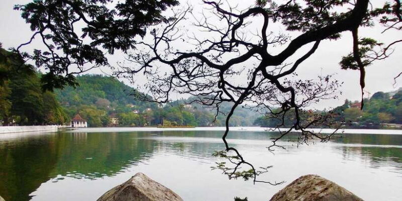 All Inclusive Ambuluwawa Tower & Kandy City Tour by TukTuk - Key Points