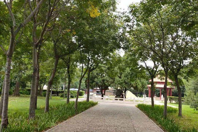 All inclusive Anyang Yin Xu ruins and Character Museum day tour from Zhengzhou - The Sum Up