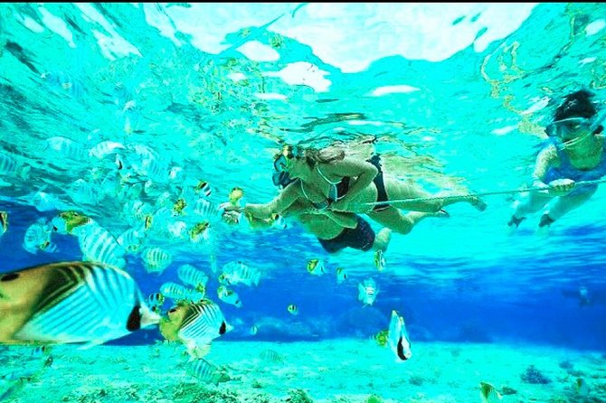 All Inclusive : Bali Blue Lagoon Snorkeling, Lunch, and Transport - Transportation and Group Size