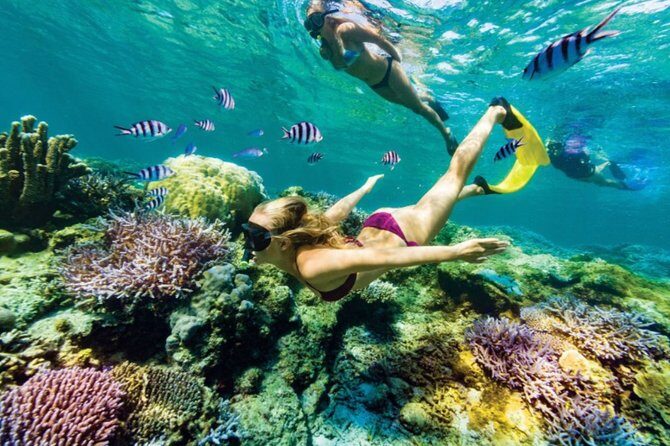 All Inclusive Bali Blue Lagoon Snorkeling with Lunch and Transport - An Overview of the Tour Experience