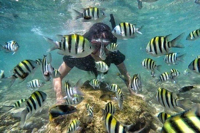 All Inclusive Bali Snorkeling Blue Lagoon tour experience - The Sum Up: Is This Tour Right for You?