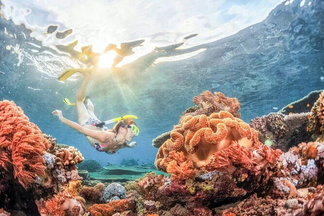All inclusive: Blue lagoon Snorkeling & the Bats cave temple - Key Points