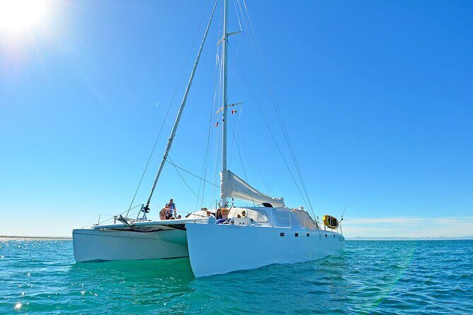 All-Inclusive catamaran Espiritu Santo Island Tour from Los Cabos - Who Will Love This Tour?