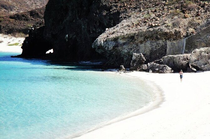All-Inclusive Catamaran Tour | Beaches & Sea Lions from Los Cabos - Key Points