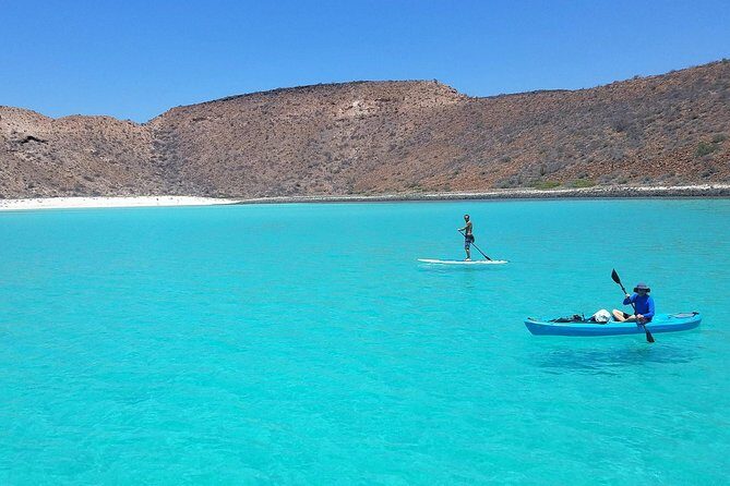 All-Inclusive Catamaran Tour | Beaches & Sea Lions from Los Cabos - FAQ