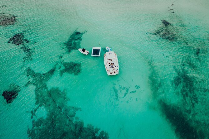 All Inclusive Cozumel: Coast & Relax 4hrs in 51" Leopard - Practical Details & Tips