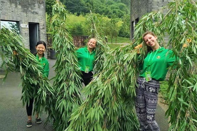 All-Inclusive: Customizable Giant Panda Private Day Trip in Chengdu - How It Compares to Other Tours