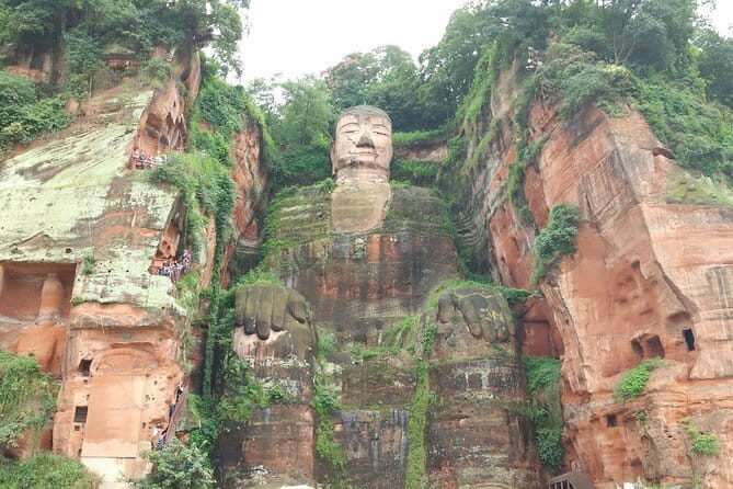 All-Inclusive: Customizable Giant Panda Private Day Trip in Chengdu - FAQ
