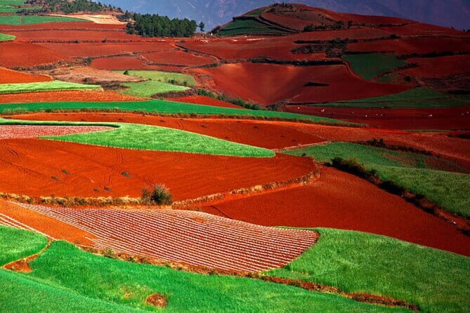 All inclusive Dongchuan red earth tour start from Kunming - Is This Tour Worth the Price?