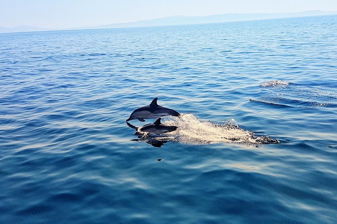 All-Inclusive Full-Day Cruise & Lunch - Crew and Hospitality