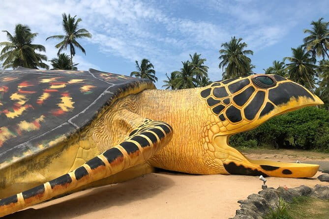 All Inclusive Full Day Guided Tour to Galle - FAQ