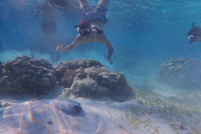 All-Inclusive Full-Day Hol Chan Snorkeling Tour - Key Points