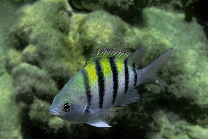 All-Inclusive Full-Day Private Boat Tour with Lunch & Drinks - Practical Details: Booking, Meeting, and What to Bring