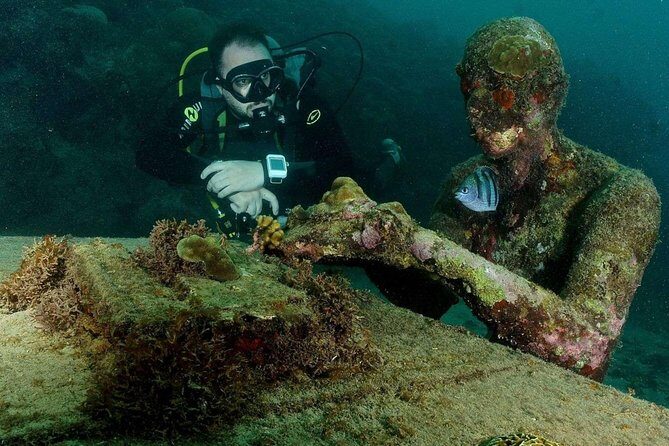 ALL INCLUSIVE Full Day snorkeling & sunset cruise with boat dogs - Key Points