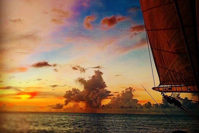 ALL INCLUSIVE Full Day snorkeling & sunset cruise with boat dogs - Who Will Love This Tour?