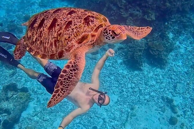 All Inclusive Full-Day Tour Phi Phi Islands from Phuket - Who Will Love This Tour?