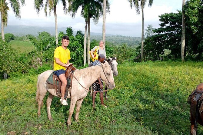 All Inclusive Full Day Truck Safari - Who Will Love This Tour?