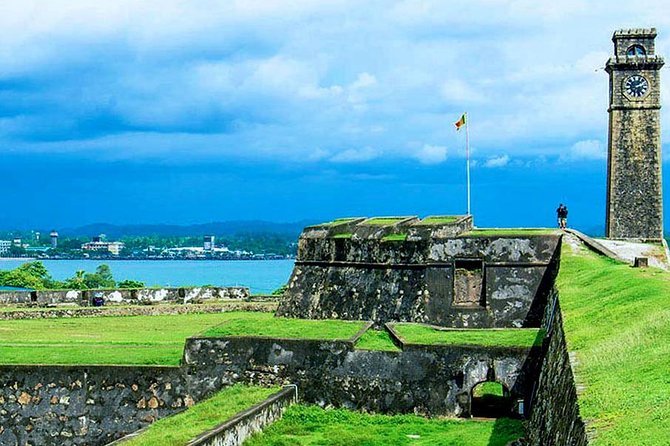 All Inclusive Galle Day Tour from Colombo & Negombo - Wildlife and Environmental Conservation: Sea Turtles