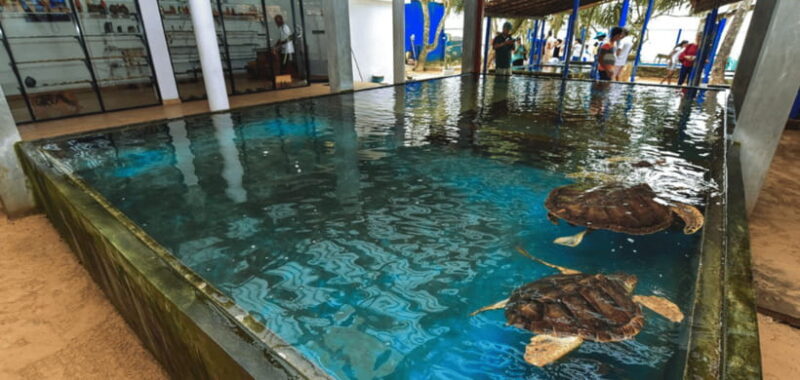 All inclusive Galle Tour from Colombo - FAQs