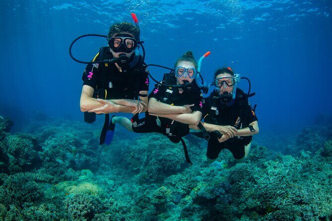 All Inclusive Great Barrier Reef Cruise w optional Scuba Diving - Starting the Adventure: Cairns Marlin Marina