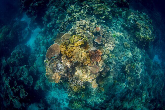 All Inclusive Great Barrier Reef Cruise w optional Scuba Diving - What’s Included and What’s Extra