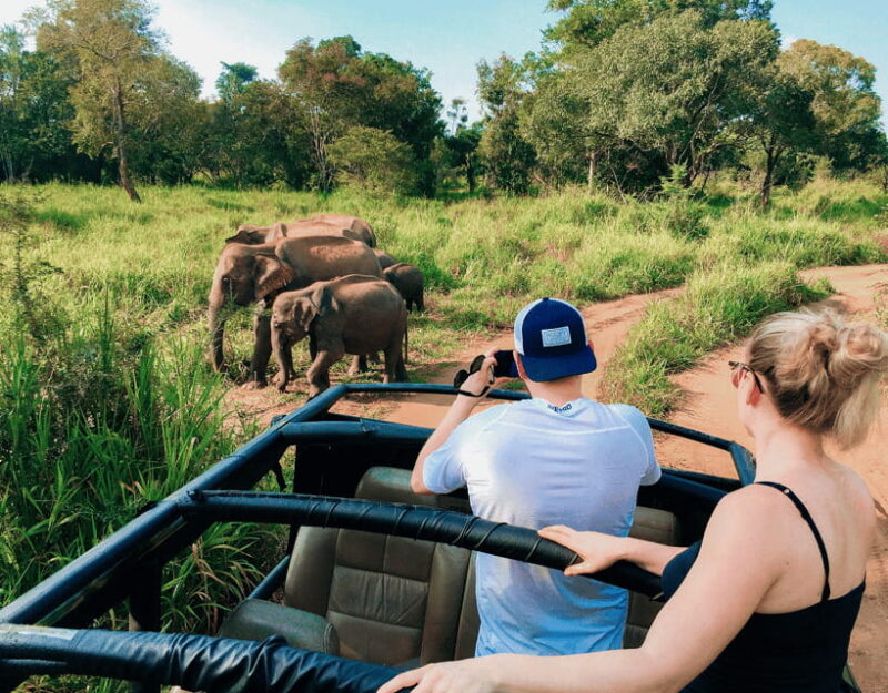 All-Inclusive Habarana HuruluEco Park Private Halfday Safari - What Makes This Safari a Great Choice?