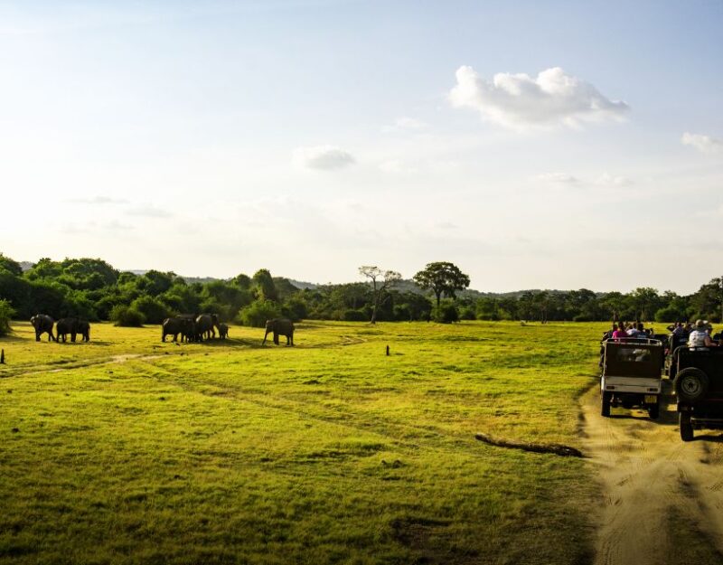 All-Inclusive Habarana HuruluEco Park Private Halfday Safari - The Sum Up: Is This Safari Worth It?