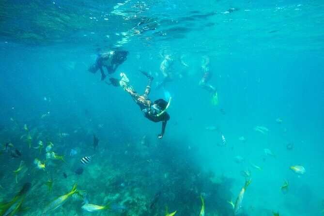 All Inclusive Half Day Sail and Snorkel - Key Points