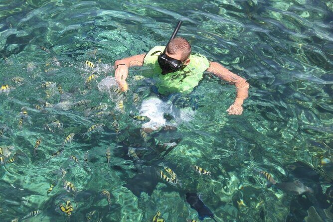 All Inclusive Half Day Sail and Snorkel - Itinerary Breakdown