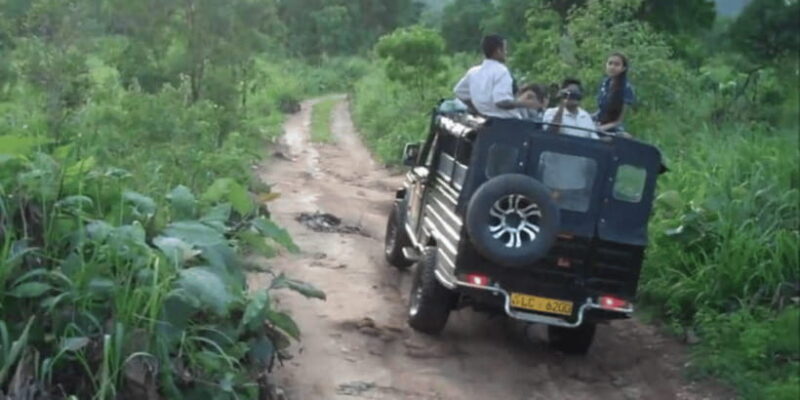 All-Inclusive Hiriwadunna Experience with Traditional Lunch. - Who Will Enjoy This Tour?