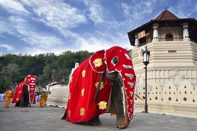 All Inclusive Kandy Private Day Tour From Colombo and Negombo - Artistic Souvenirs: Oak Ray Handcrafted Wood Carvings