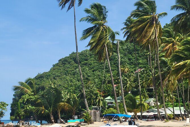 All-Inclusive Land And Sea Excursion - Practical Details: What You Need to Know