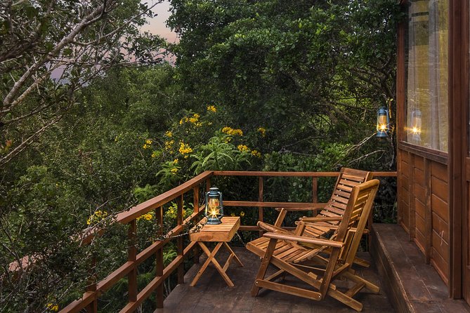 All Inclusive Leopard Nest Luxury Glamping experience in Yala - The Second Day: Dawn Safari and Lake Trekking