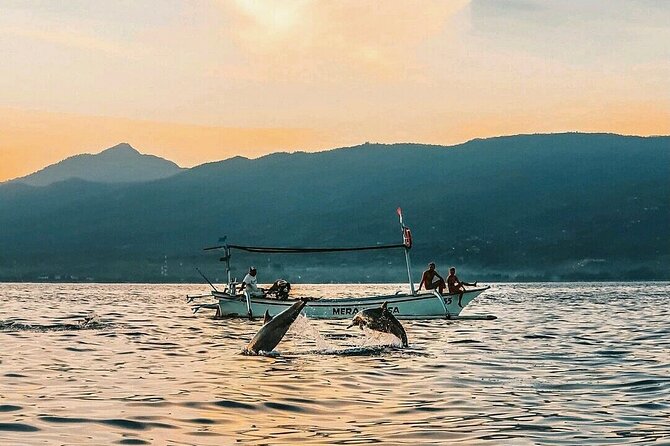 All inclusive Lovina Dolphins Sunrise tour, Waterfall & Temple - Real Traveler Perspectives