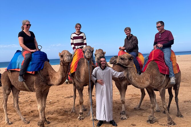 All-Inclusive Luxury Day Trip From Tarifa to Tangier - Pricing and Cancellation Policy