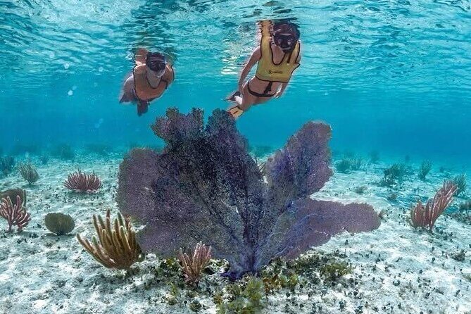 All Inclusive Mayan Ruins EN Buggy & Snorkeling Tour - Who Will Enjoy This Tour?