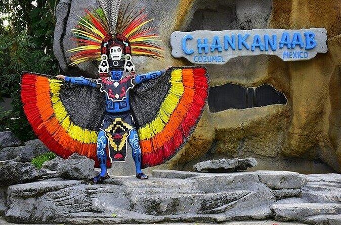 All Inclusive Mexican Tour with Buffet and Tequila Tasting - Frequently Asked Questions (FAQs)