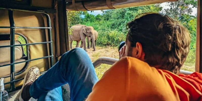 All Inclusive Minneriya National Park Half Day Safari - Key Points