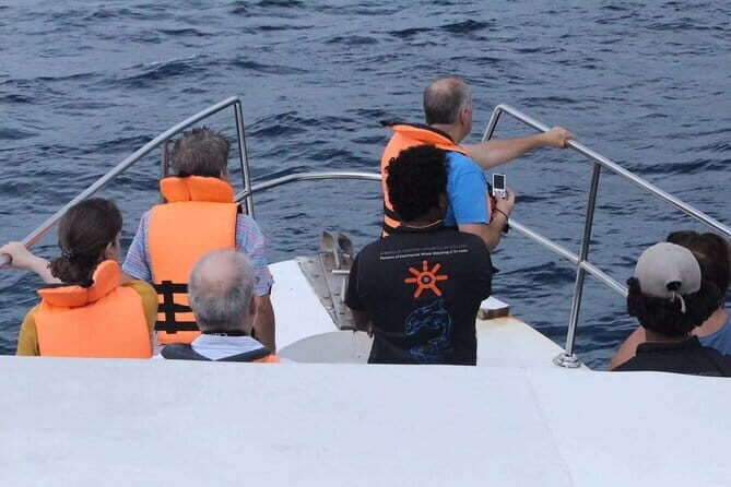 All Inclusive Mirissa Whale and Dolphin Watching Boat Ride - The Wildlife Encounters: Dolphins First, Then Whales?