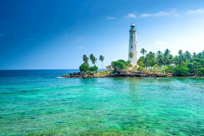 All Inclusive Mirissa Whale and Dolphin Watching Boat Ride - Traveler Feedback: What People Are Saying