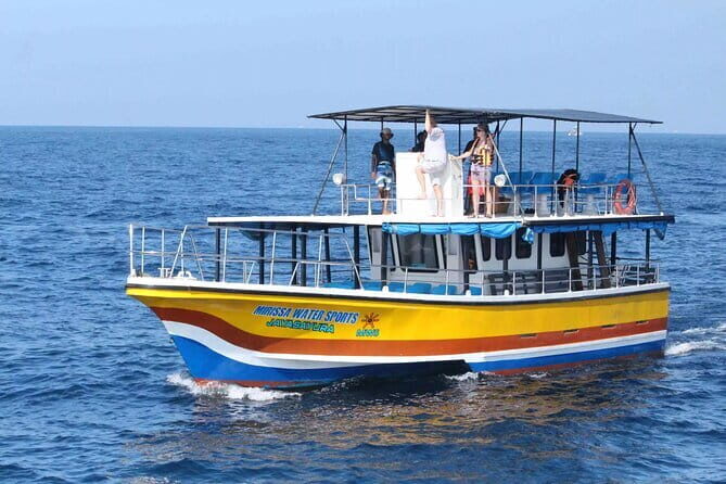 All Inclusive Mirissa Whale and Dolphin Watching Boat Ride - Who Should Book This Tour?