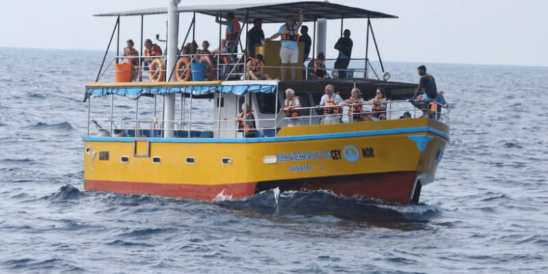 All Inclusive Mirissa Whale and Dolphin Watching Boat Ride - The Value of This Tour