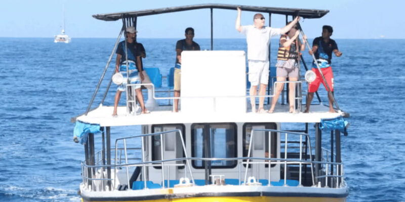 All Inclusive Mirissa Whale and Dolphin Watching Boat Ride - Who Should Consider This Tour?