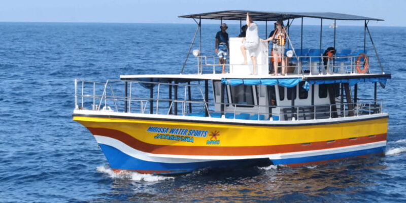 All Inclusive Mirissa Whale & Dolphin Watching + Snorkeling - Key Points