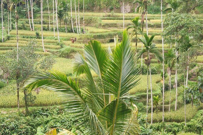 All inclusive of Ubud Culture,Village and Temples - FAQ