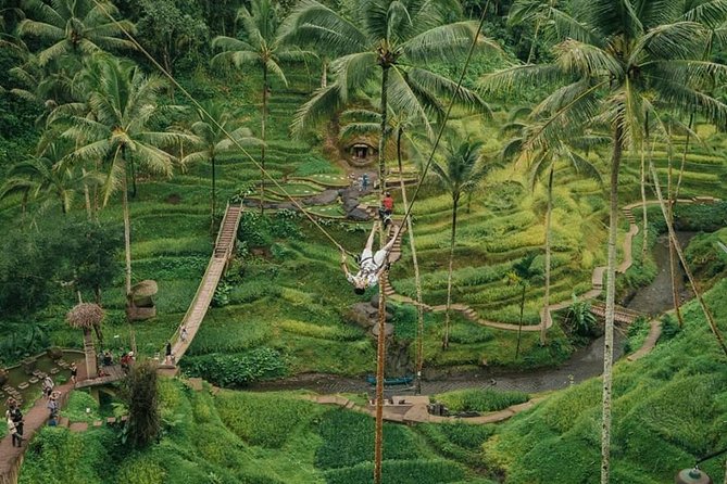 All inclusive Private 3 day tours package : Bali highlights - The Sum Up